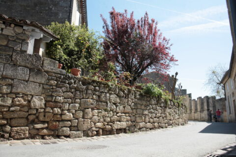 Discover Saint Émilion - Visiter Saint Emilion