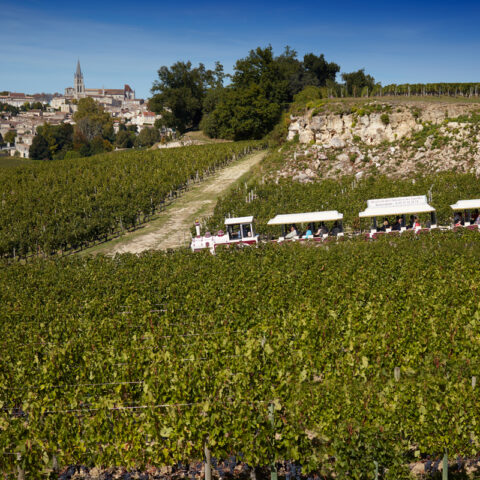 Discover Saint Émilion - Visiter Saint Emilion